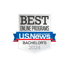 Online Bachelor's Degree in Information Technology (IT) | CSU Global ...